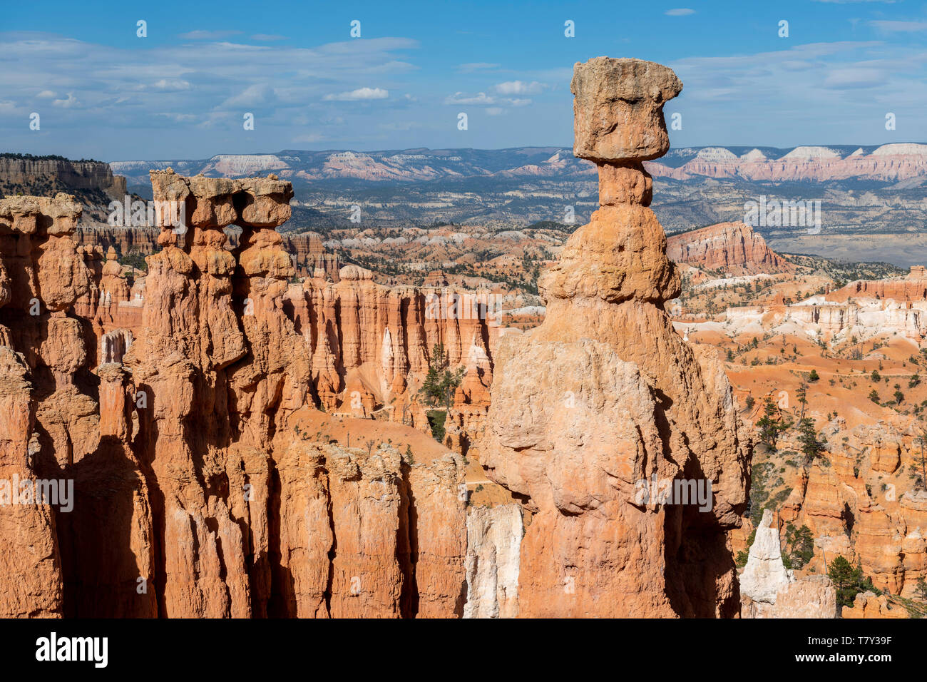 Bryce Canyon National Park, Utah, USA. The Amphitheater viewed from ...