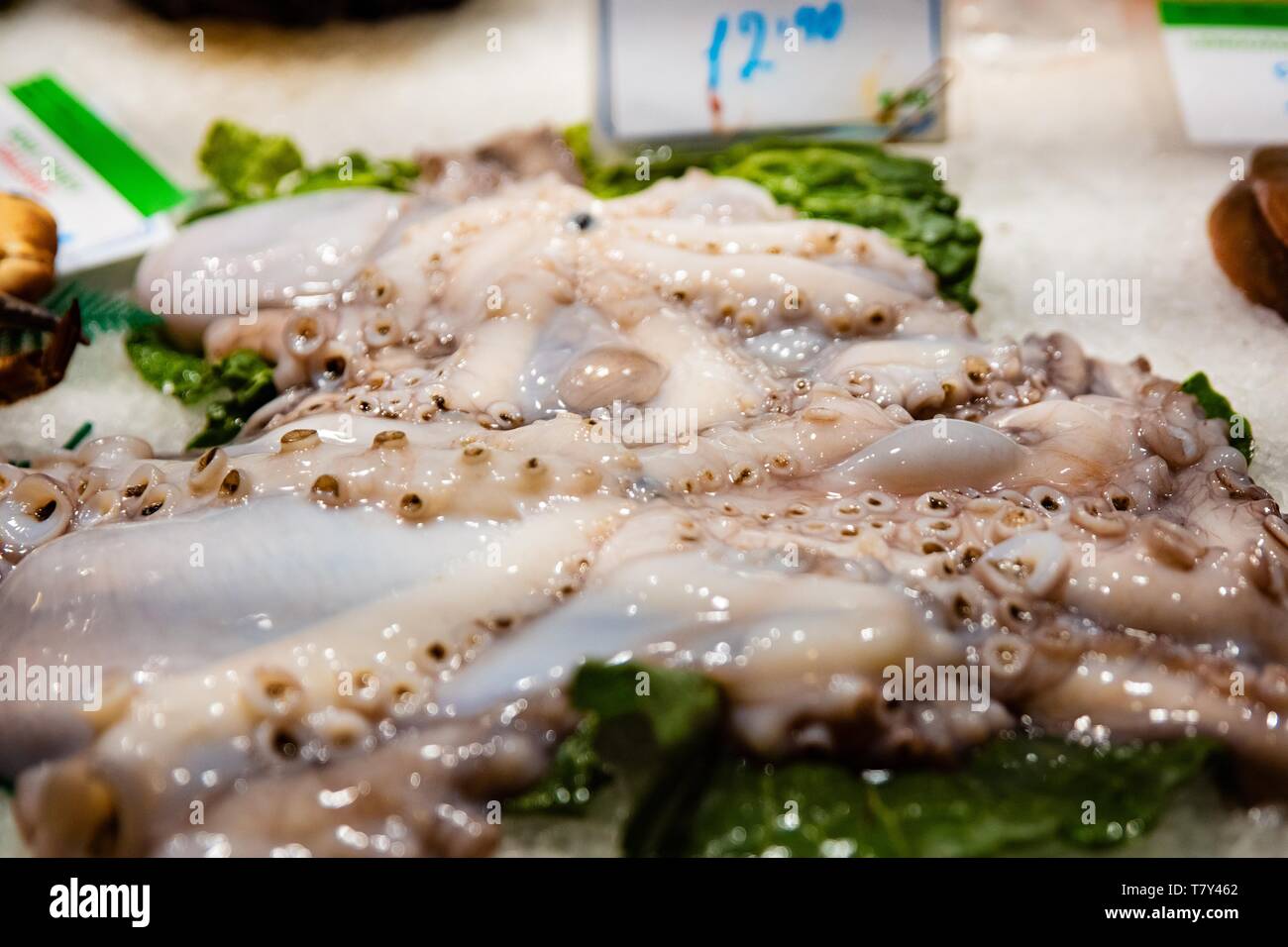 Raw fresh seafood octopus on display in fish market Stock Photo - Alamy