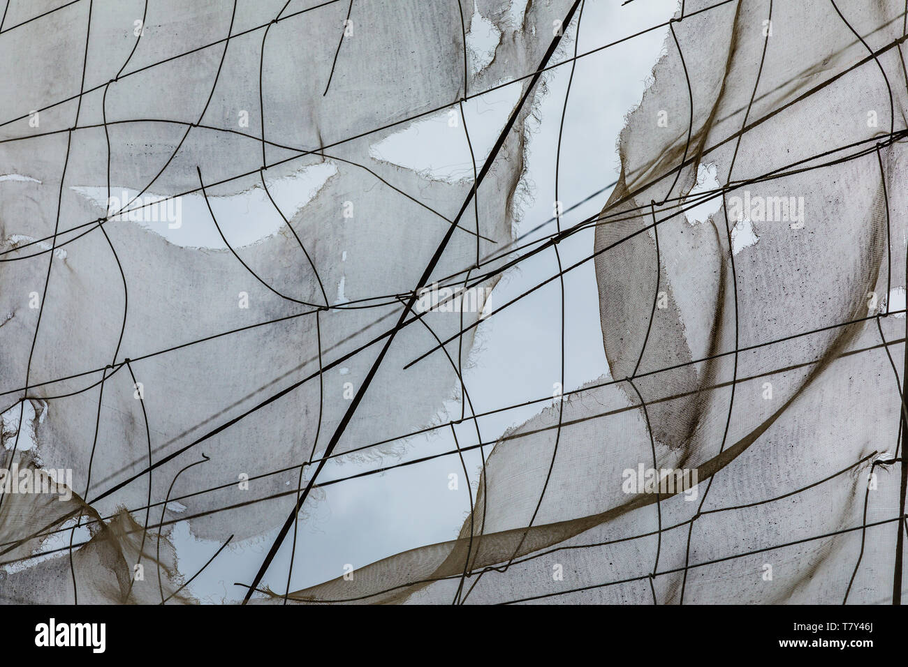 Torn fabric hi-res stock photography and images - Alamy