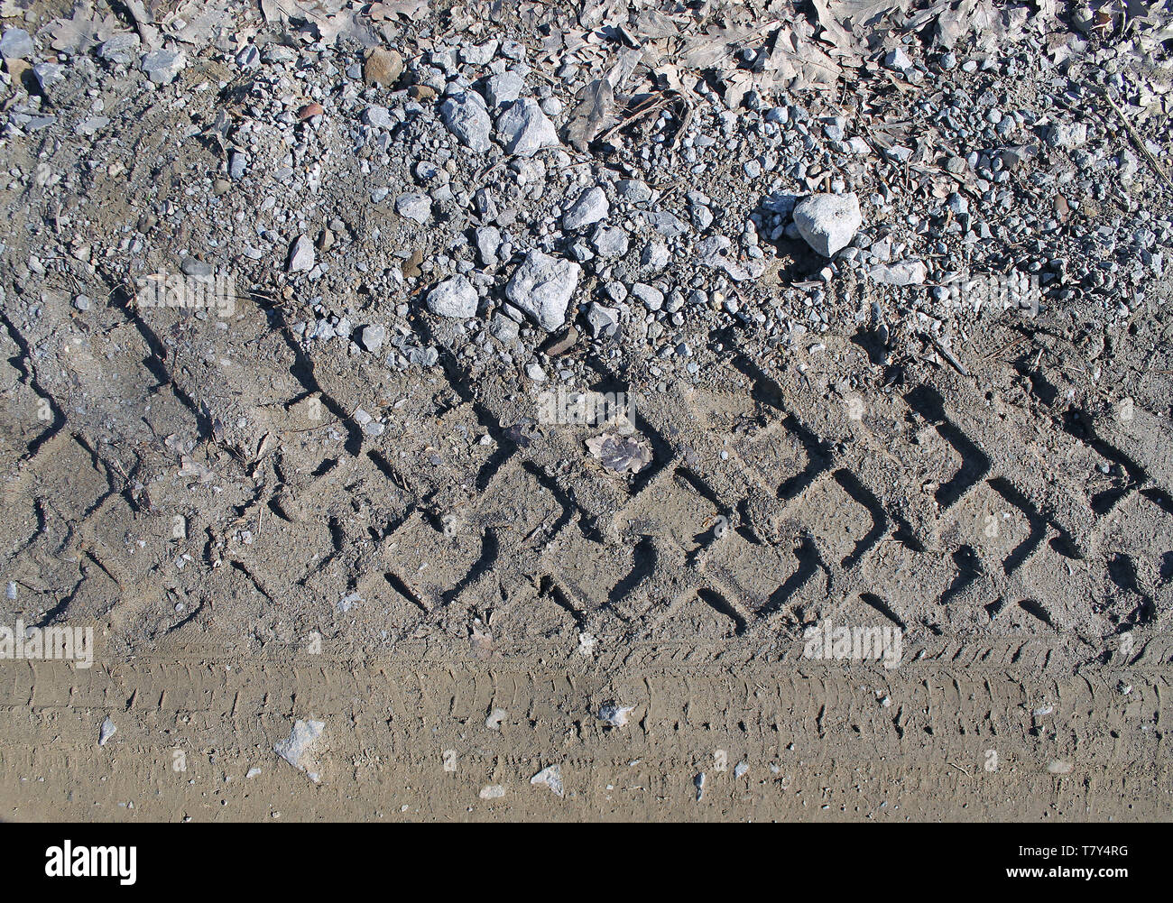 car tire tracks on wet muddy trail royalty, road, abstract background ...