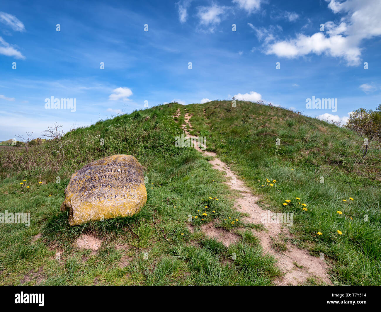 Bronze age Burial mound of Danish Egtved girl Stock Photo - Alamy