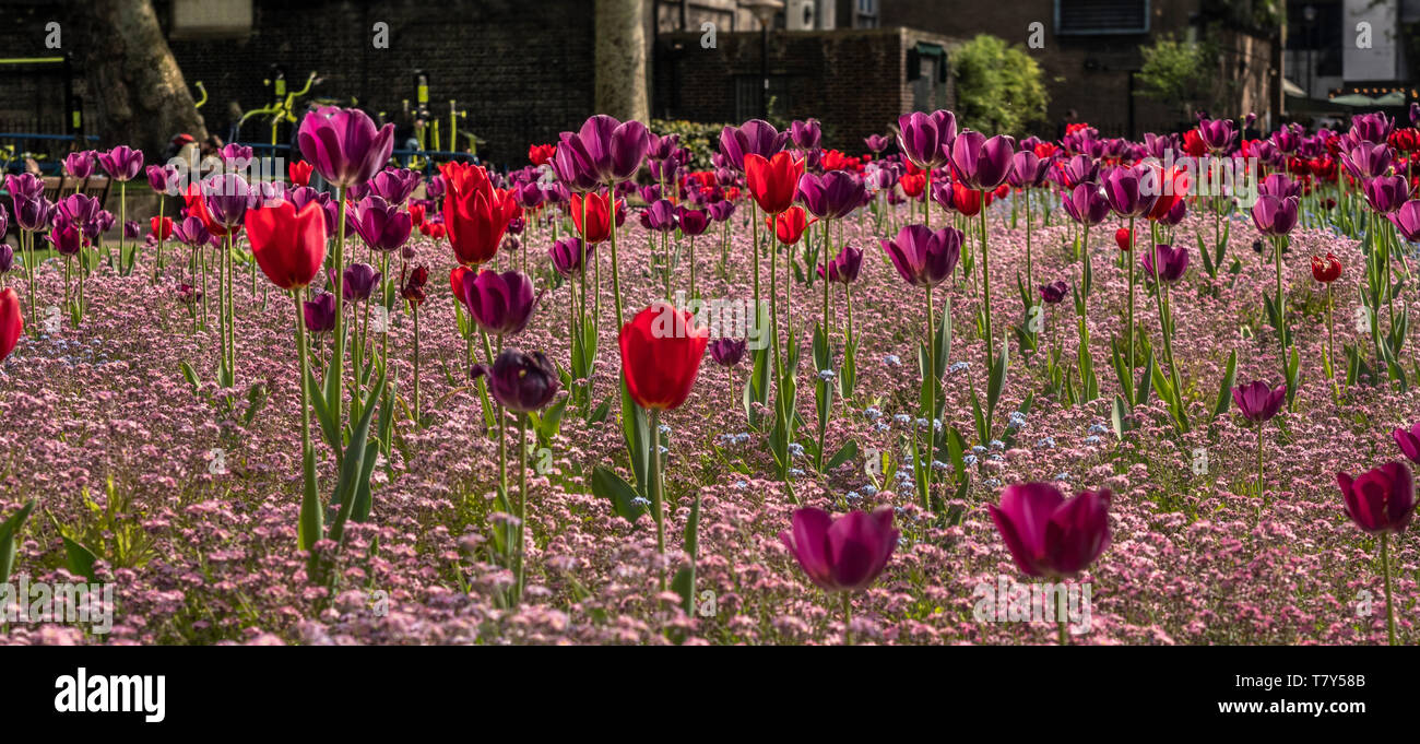 Victoria Embankment Gardens, London, UK Stock Photo - Alamy