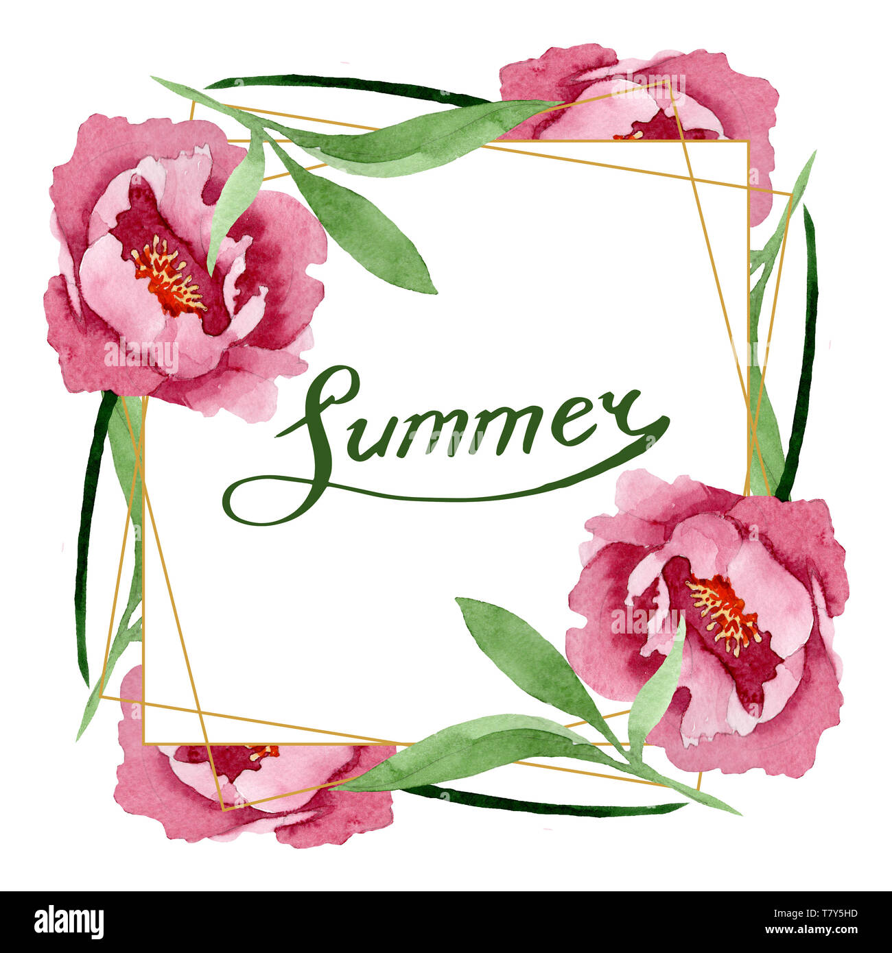 Dark red peony floral botanical flowers. Watercolor background ...