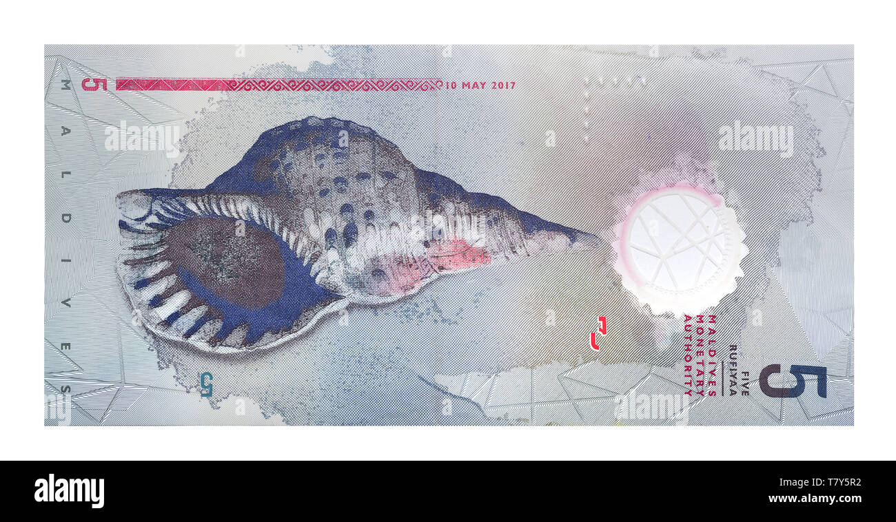 5 Maldivian rufiyaa - backside, sample 2017 Stock Photo - Alamy