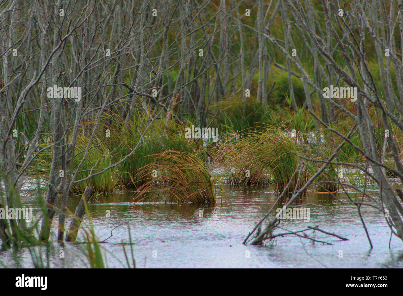9 mile hi-res stock photography and images - Alamy