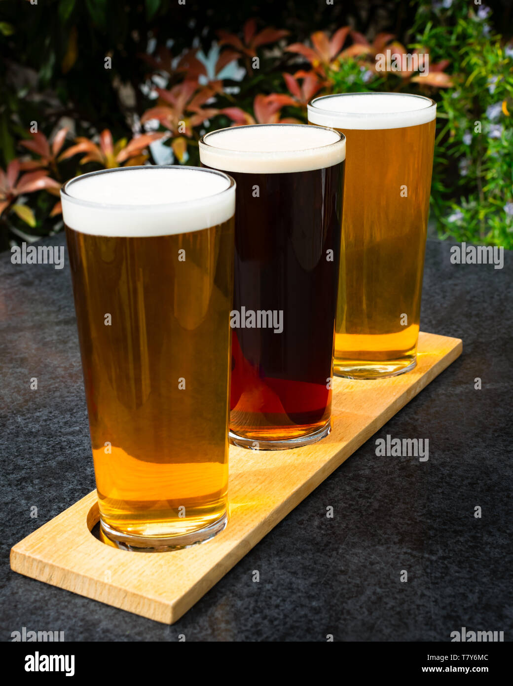 Beer glass selection hi-res stock photography and images - Alamy