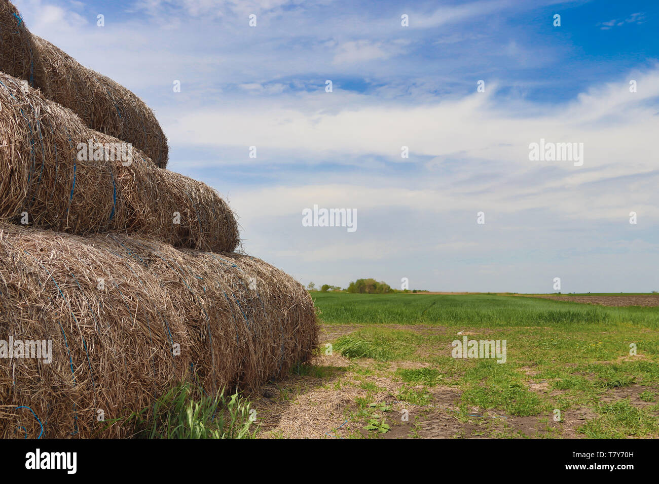 Pile of hay hi-res stock photography and images - Alamy