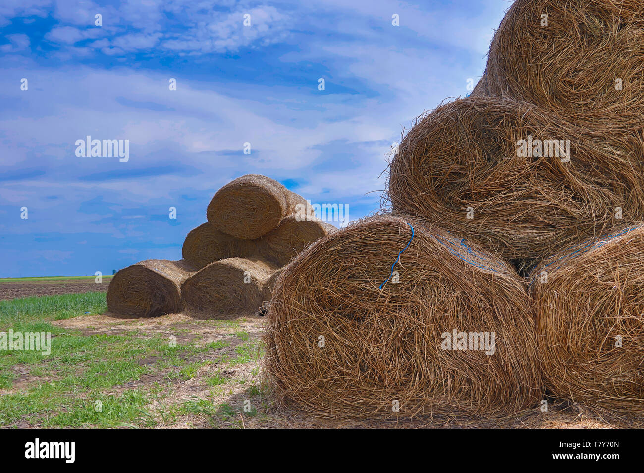 Pile of hay hi-res stock photography and images - Alamy