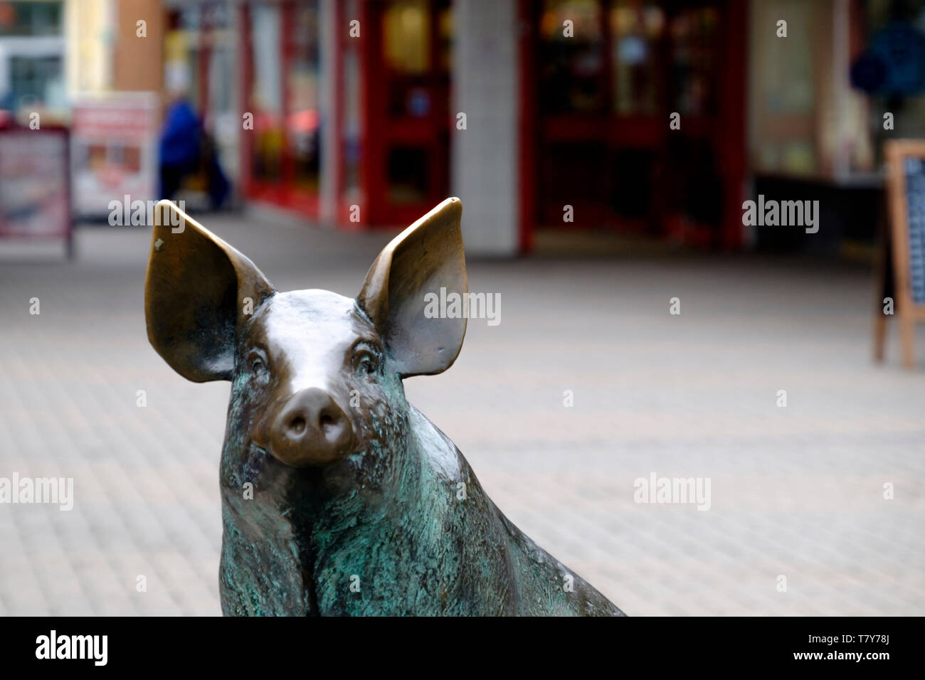 Around Calne a small Wiltshire town, wiltshire UK. Famous in the past ...