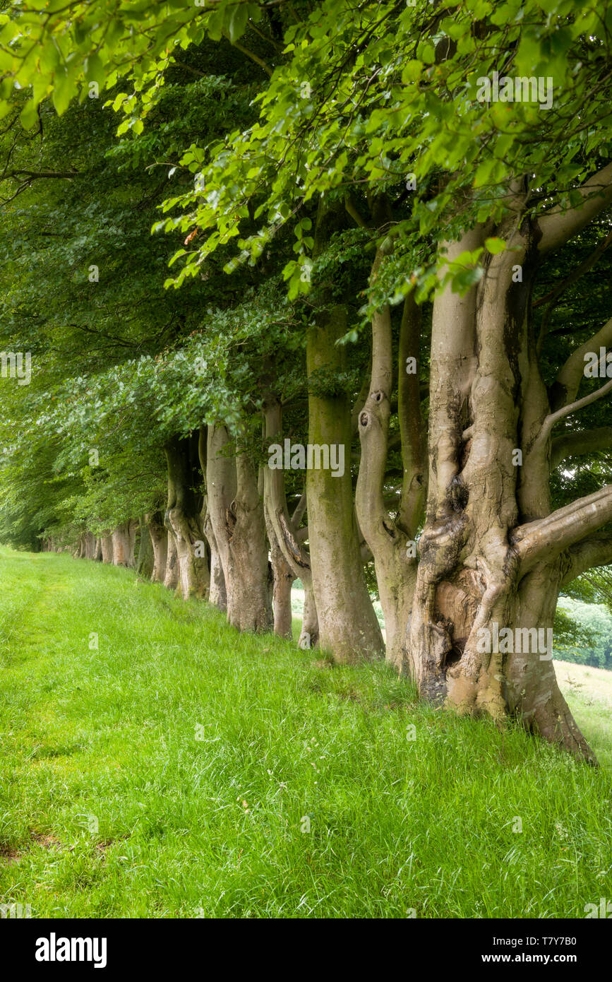 Draycott hi-res stock photography and images - Alamy