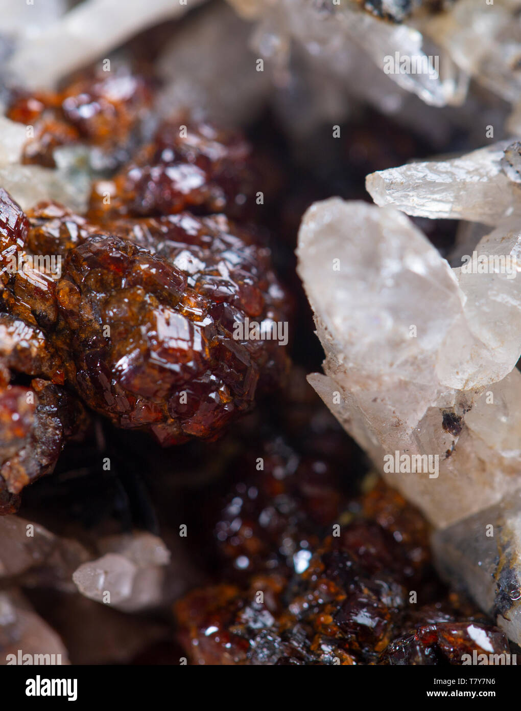 Sparkly quartz hi-res stock photography and images - Alamy