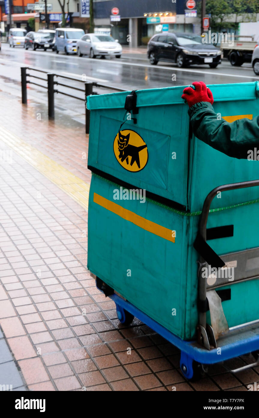 Black cat delivery service hi-res stock photography and images - Alamy
