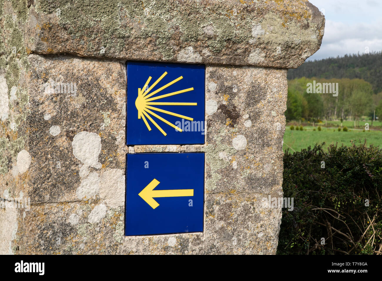Camino de Santiago tiles on stone wall. Way of St. James signs. Arrow ...
