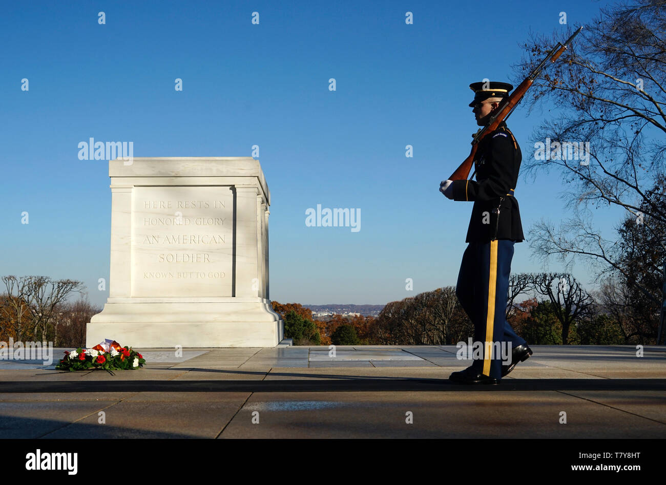 Honor guard at Changing of the guard ceremony at Tomb of the Unknown ...
