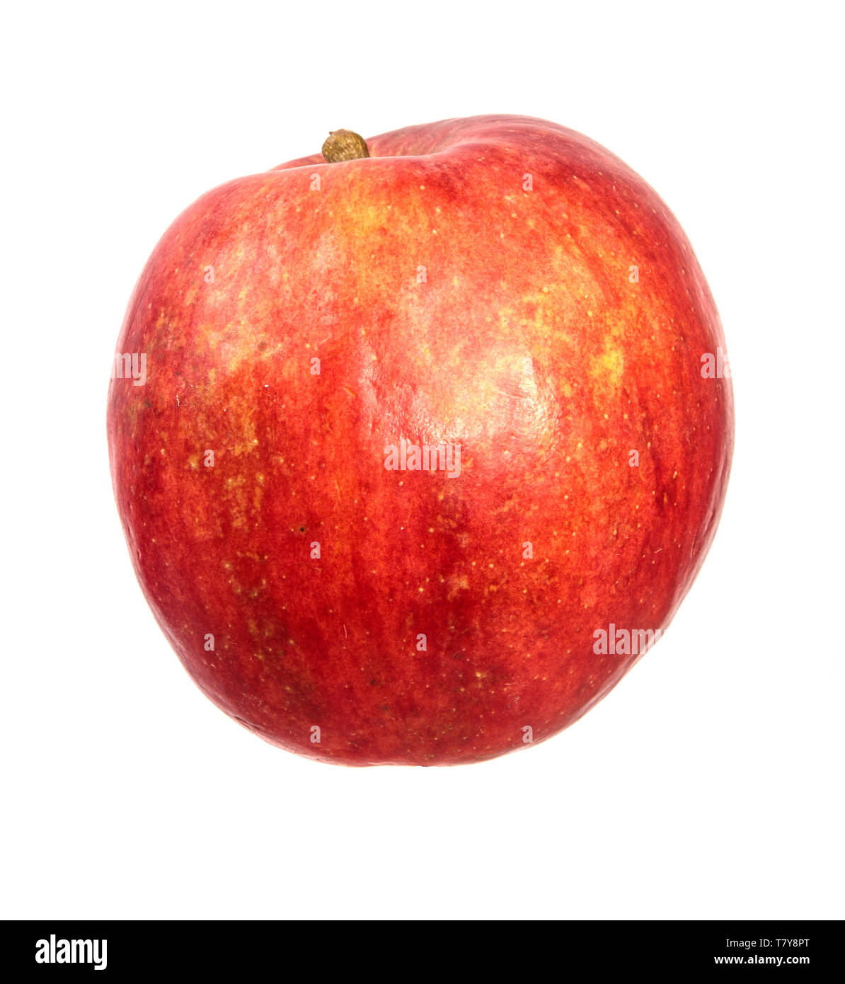 Apple ripe for harvest hi-res stock photography and images - Alamy