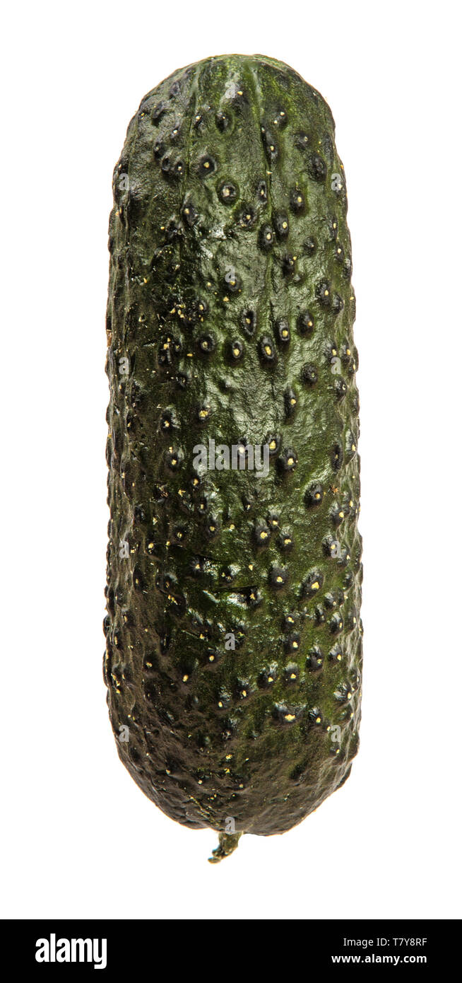 ripe green cucumber with pimples. on a white Stock Photo - Alamy