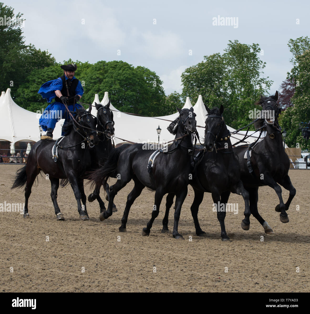 Windsor show hi-res stock photography and images - Alamy