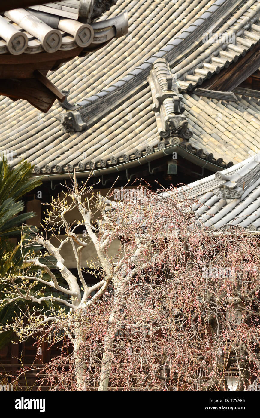 Pagoda japan roof tiles hi-res stock photography and images - Alamy