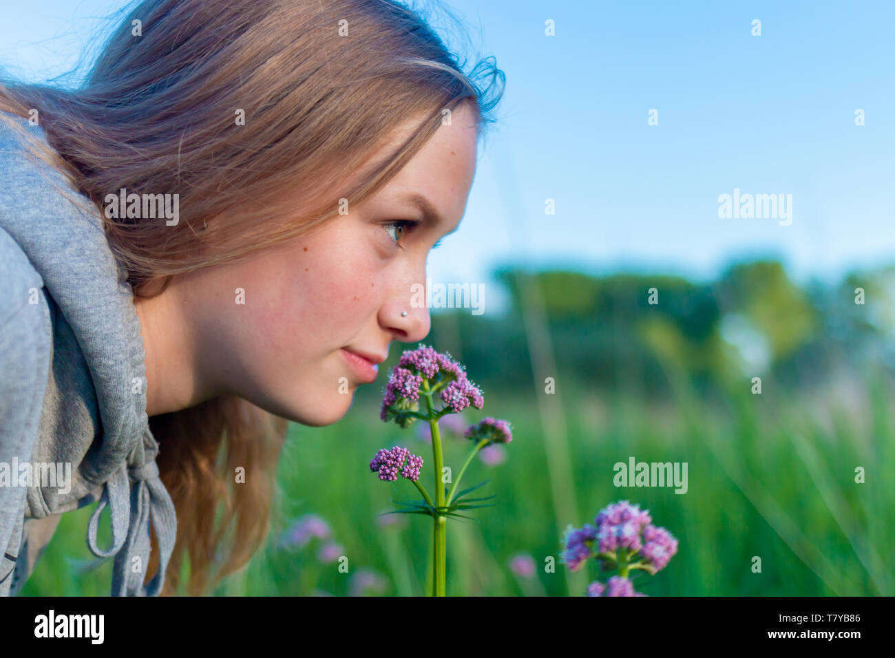 Portrait of a girl smells a fragrant wildflower on a meadow Stock Photo ...
