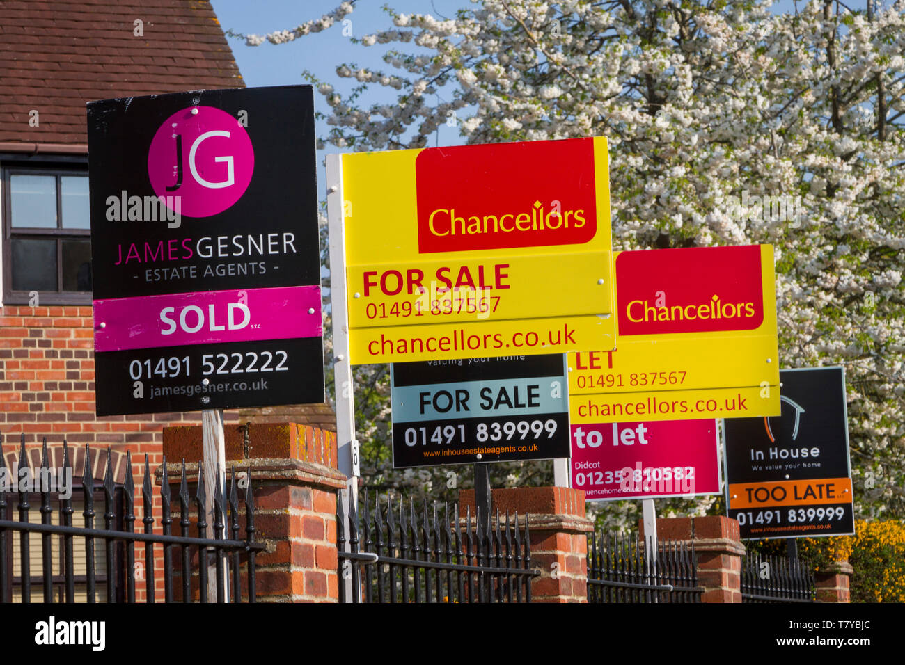 A group of colourful estate agents' signs with Spring blossom behind ...