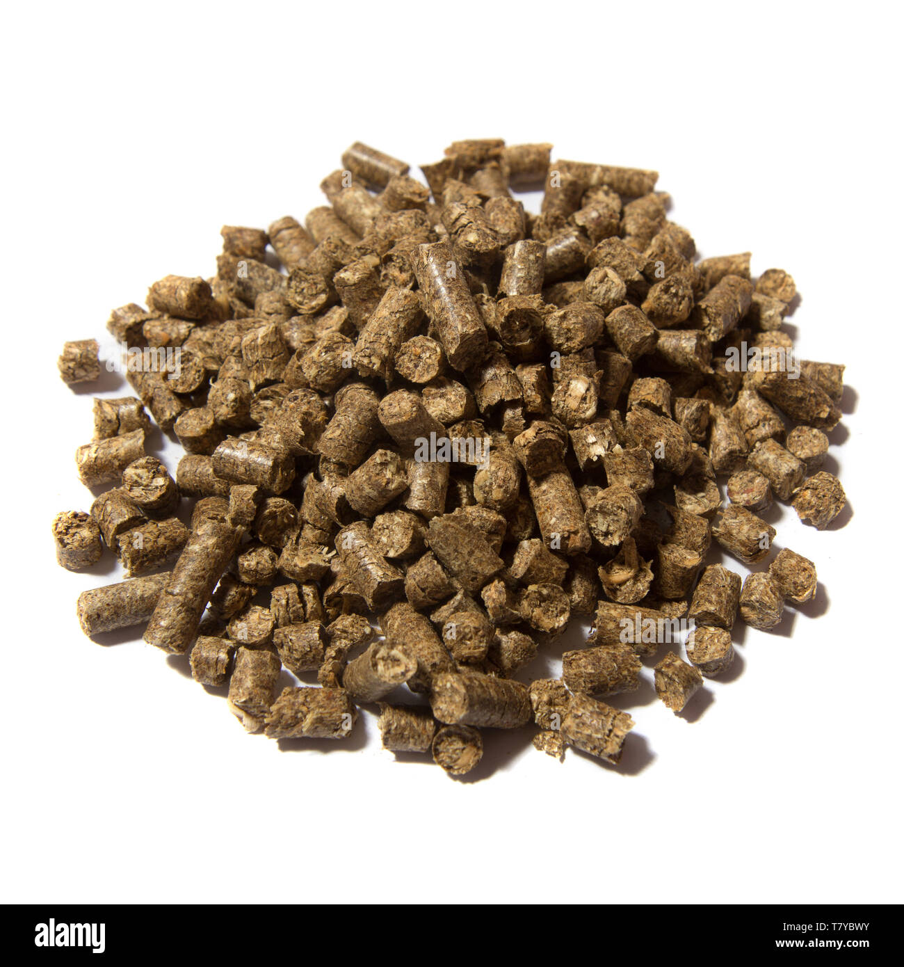 Light brown pressed solid wooden pellets granules on white background ...