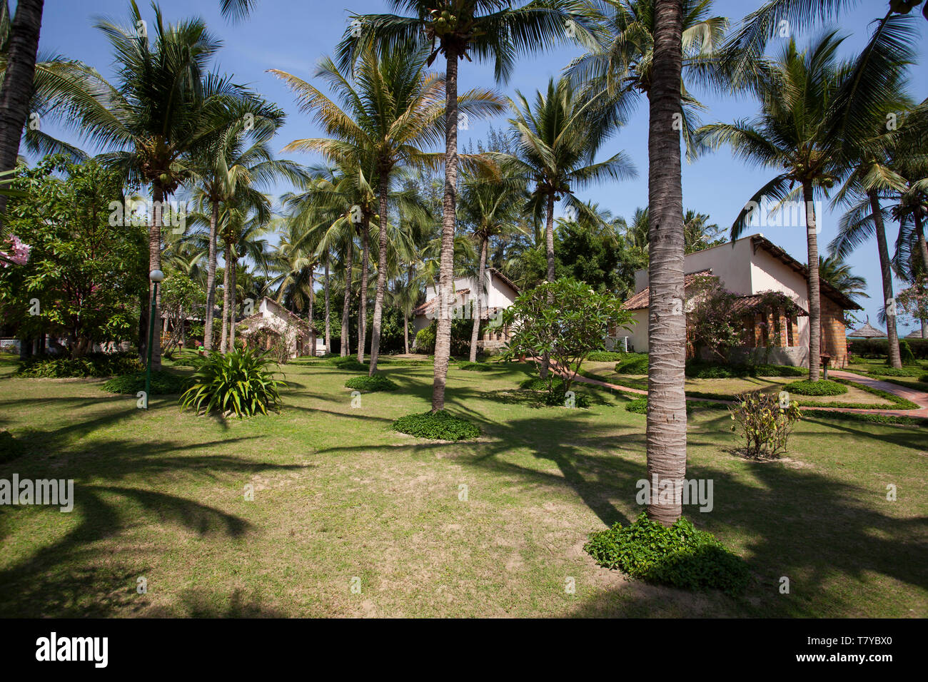 Saigon Mui Ne-Resort, Mui Ne, Vietnam Stock Photo - Alamy