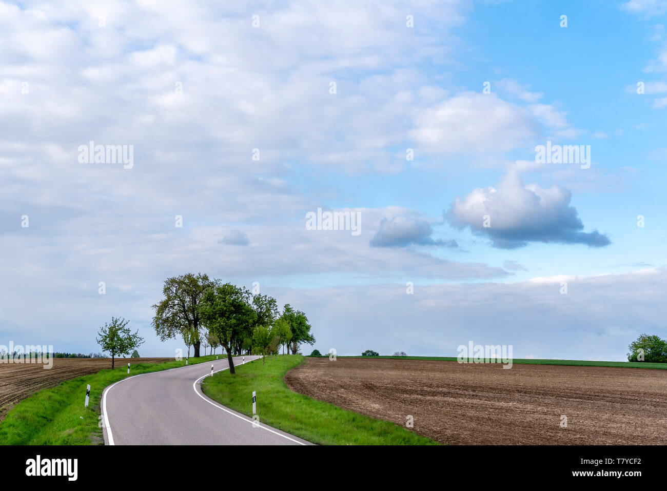 Empty road passing through agricultural fields under the blue sky with ...