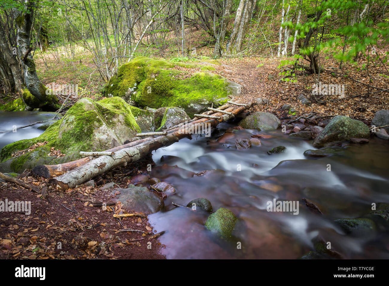 Covered Bridge Over Flowing Water High Resolution Stock Photography and ...