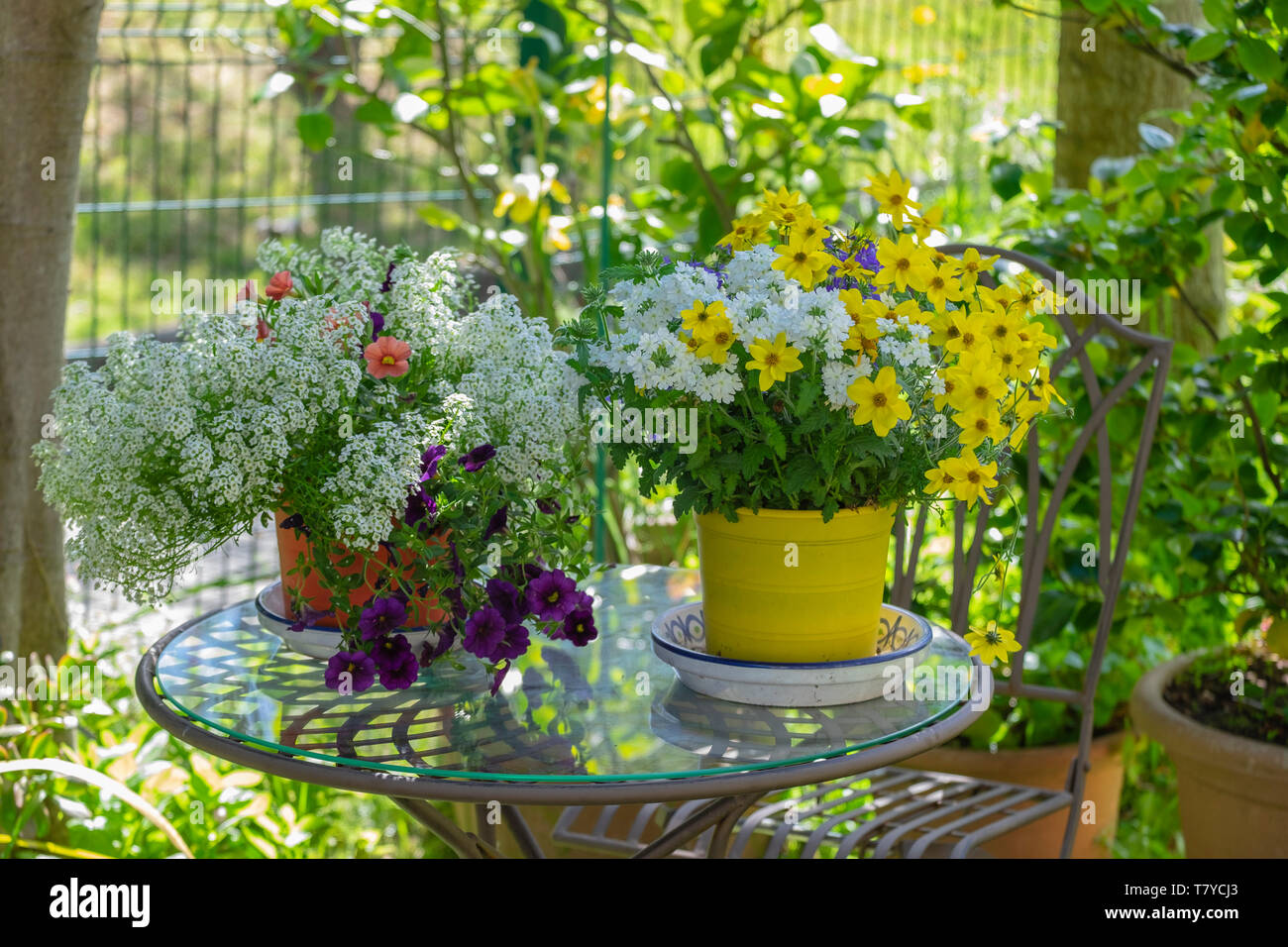 Sunny garden. Springtime Stock Photo - Alamy