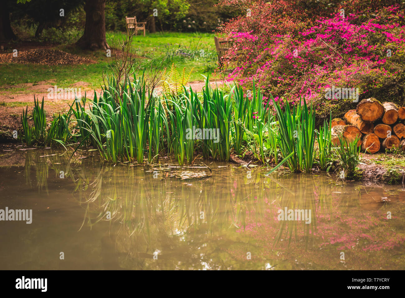 Small pond with abstract background Stock Photo - Alamy