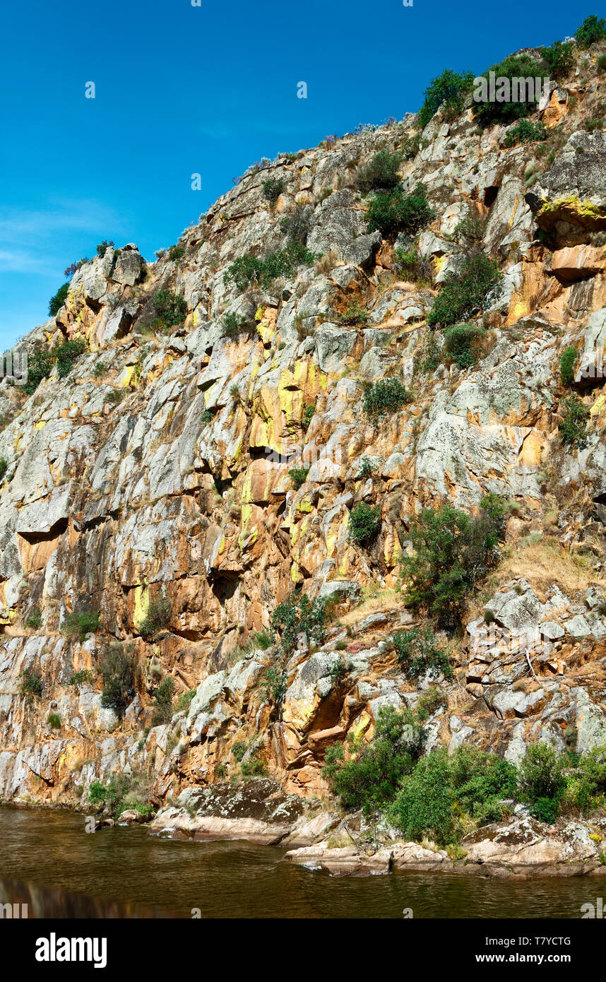 Vegetation europe hi-res stock photography and images - Alamy