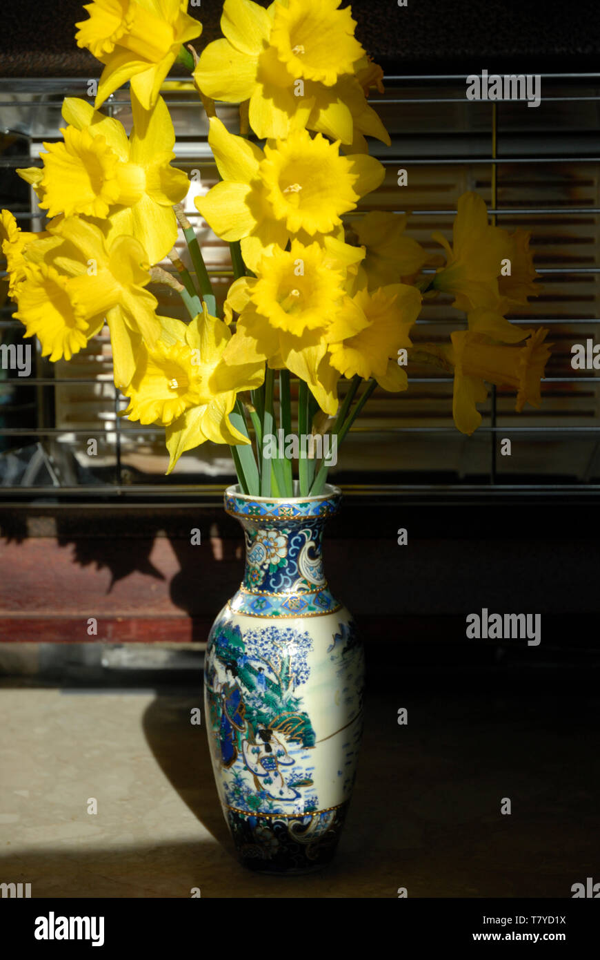 STILL LIFE, images of indoor furnishing, house plants, Art and ...