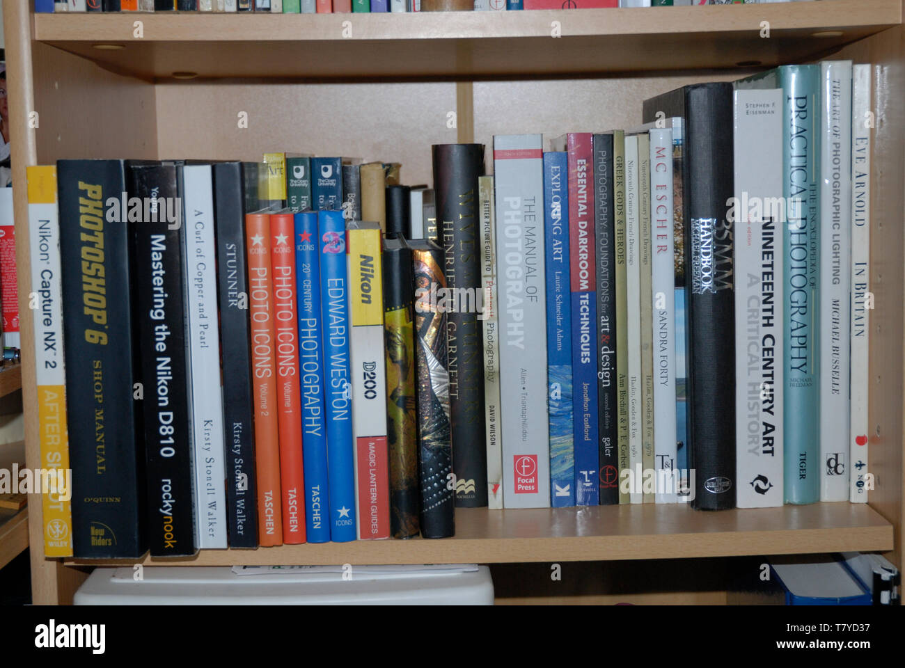 STILL LIFE, images of indoor furnishing, house plants, Art and ...