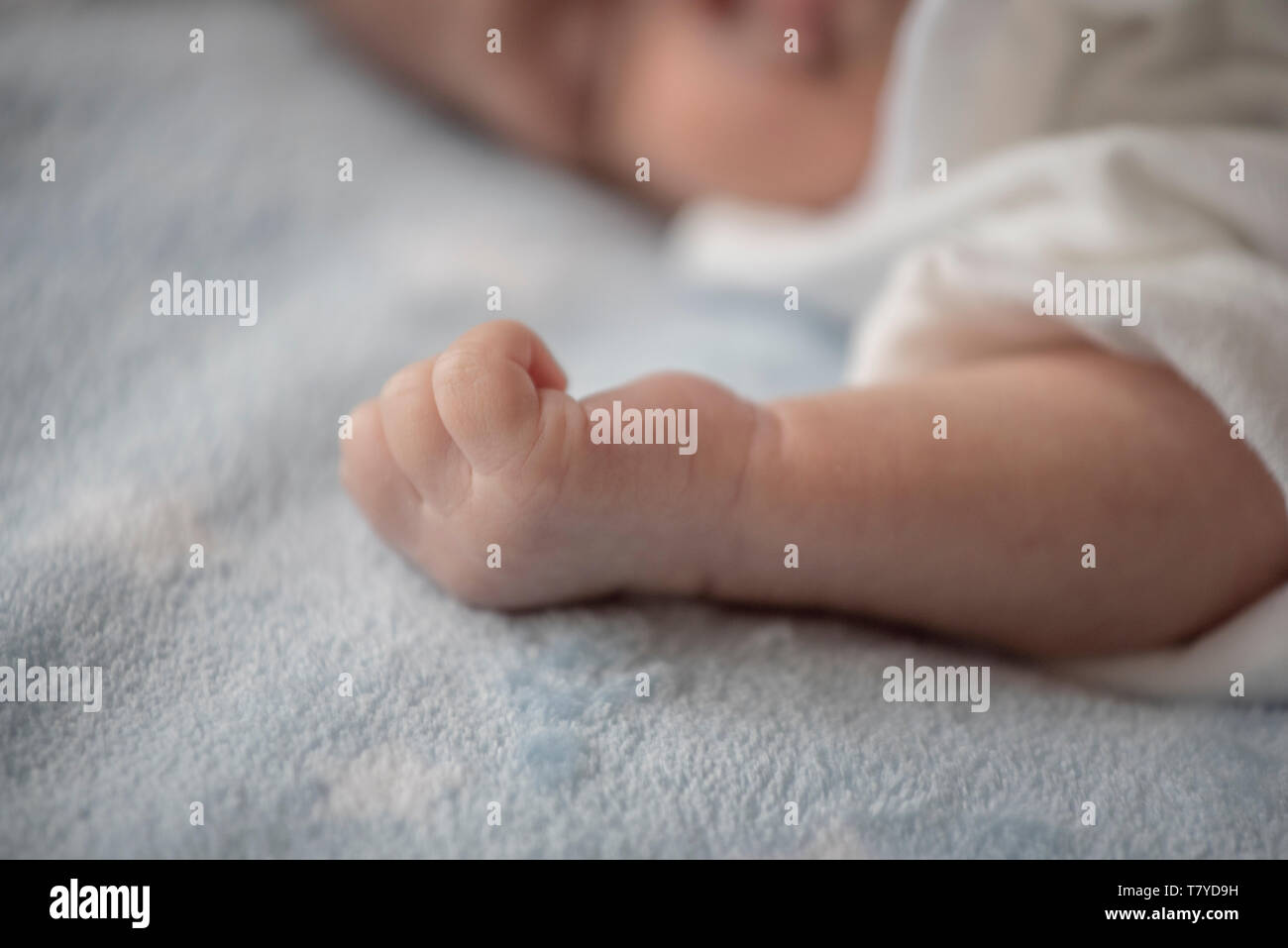Premature baby hands hi-res stock photography and images - Alamy