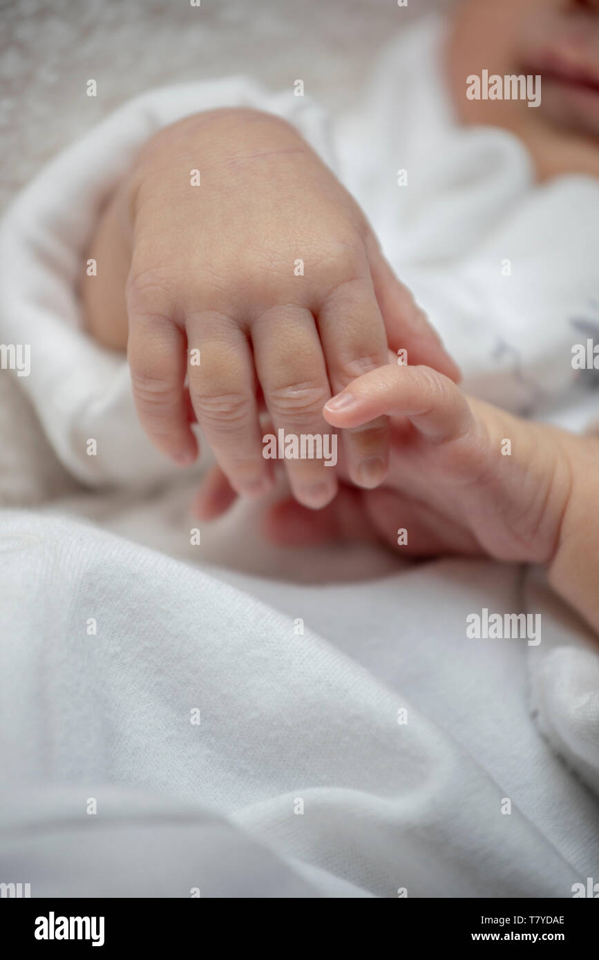 Premature baby hands hi-res stock photography and images - Alamy