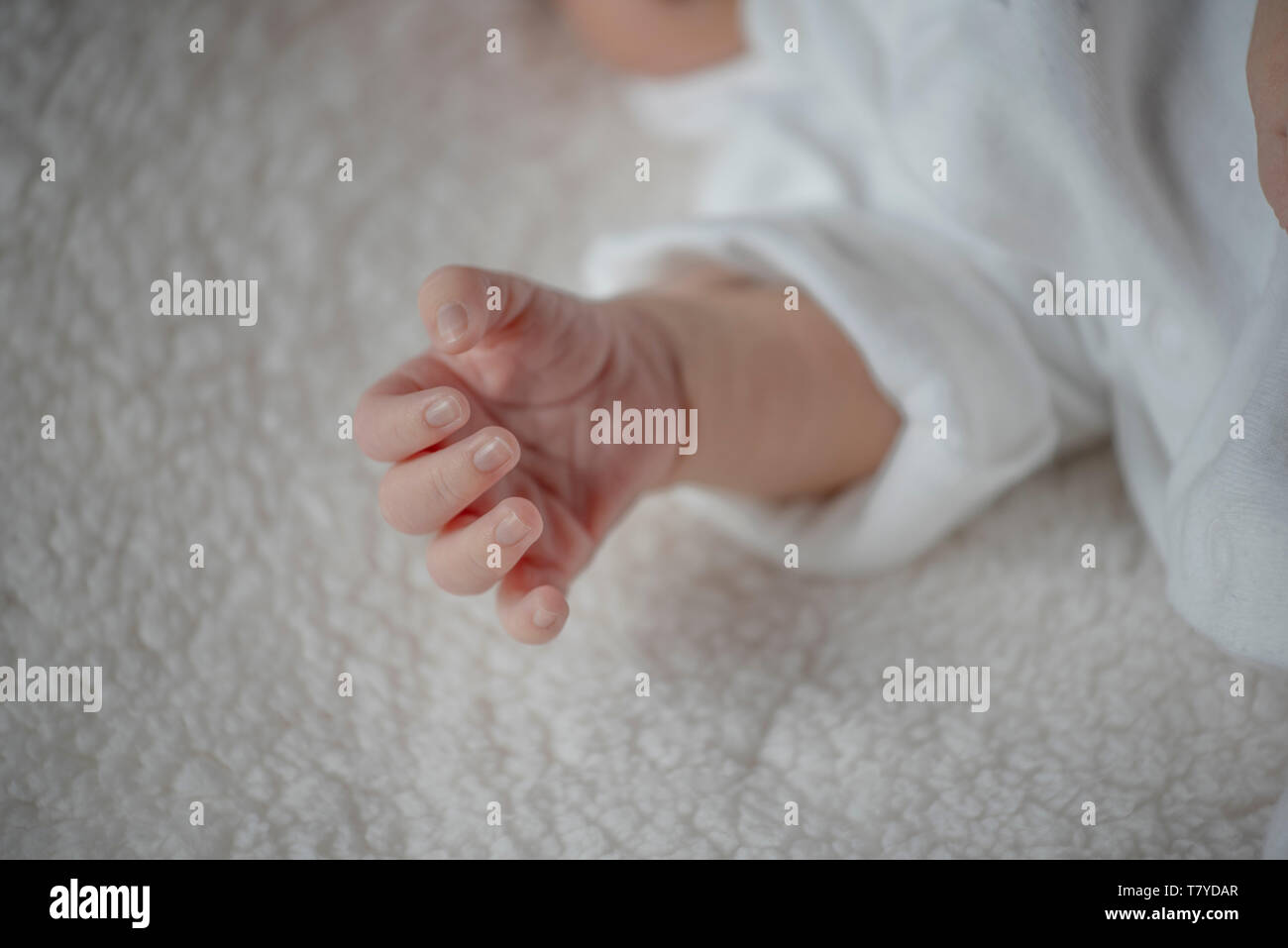 little hand of sleeping baby newborn Stock Photo - Alamy