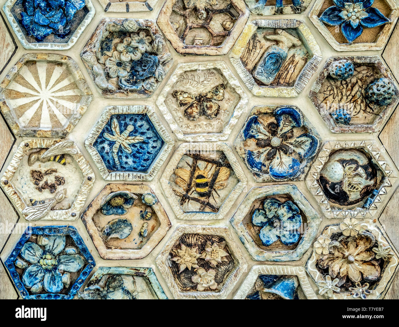 Hexagon In Nature Hexagon In Nature Images – Browse 201,909 Stock
