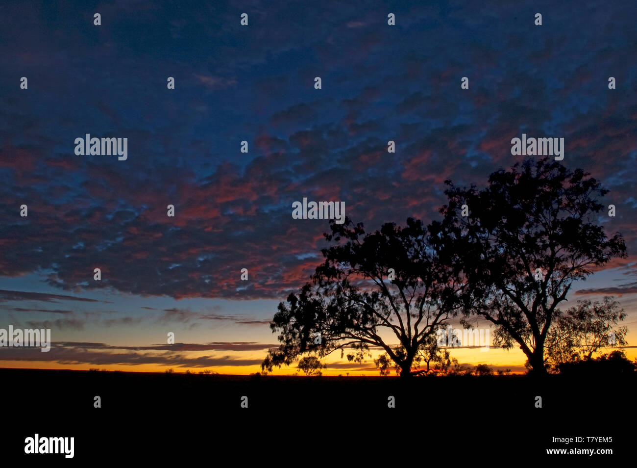 Landsborough queensland hi-res stock photography and images - Alamy