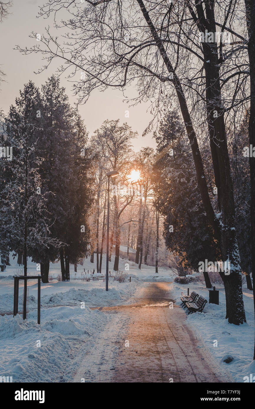Path in a beautiful city park. Frozen park in winter under snow. The ...