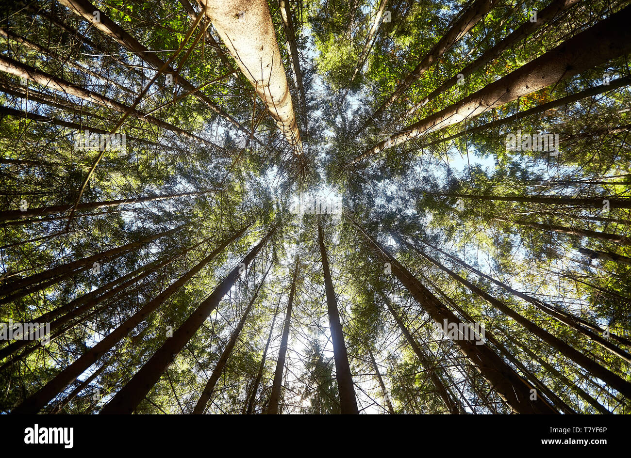 Upward view blue dome hi-res stock photography and images - Alamy