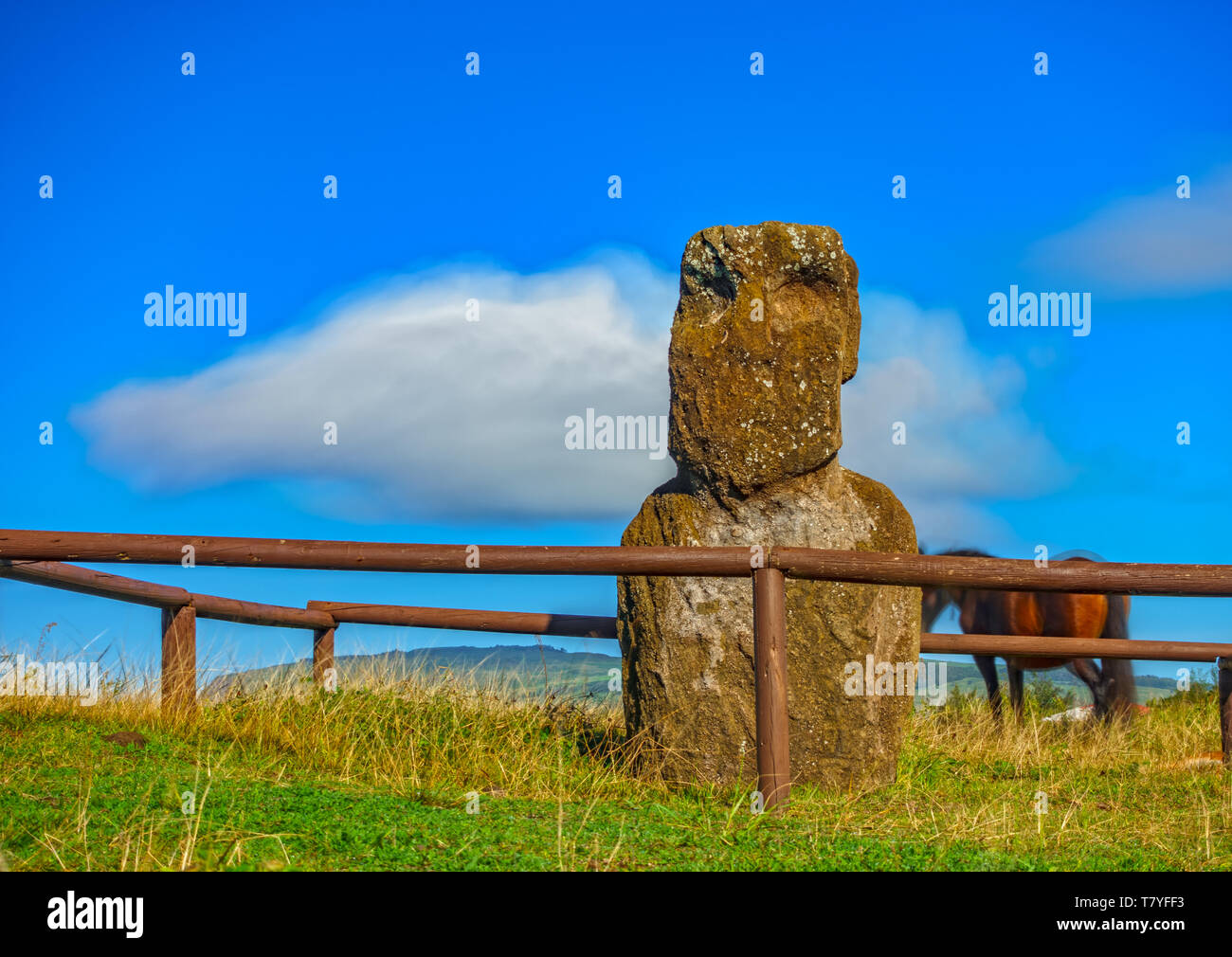 Isolated Moai, horse and cloud ultra long exposure Stock Photo - Alamy