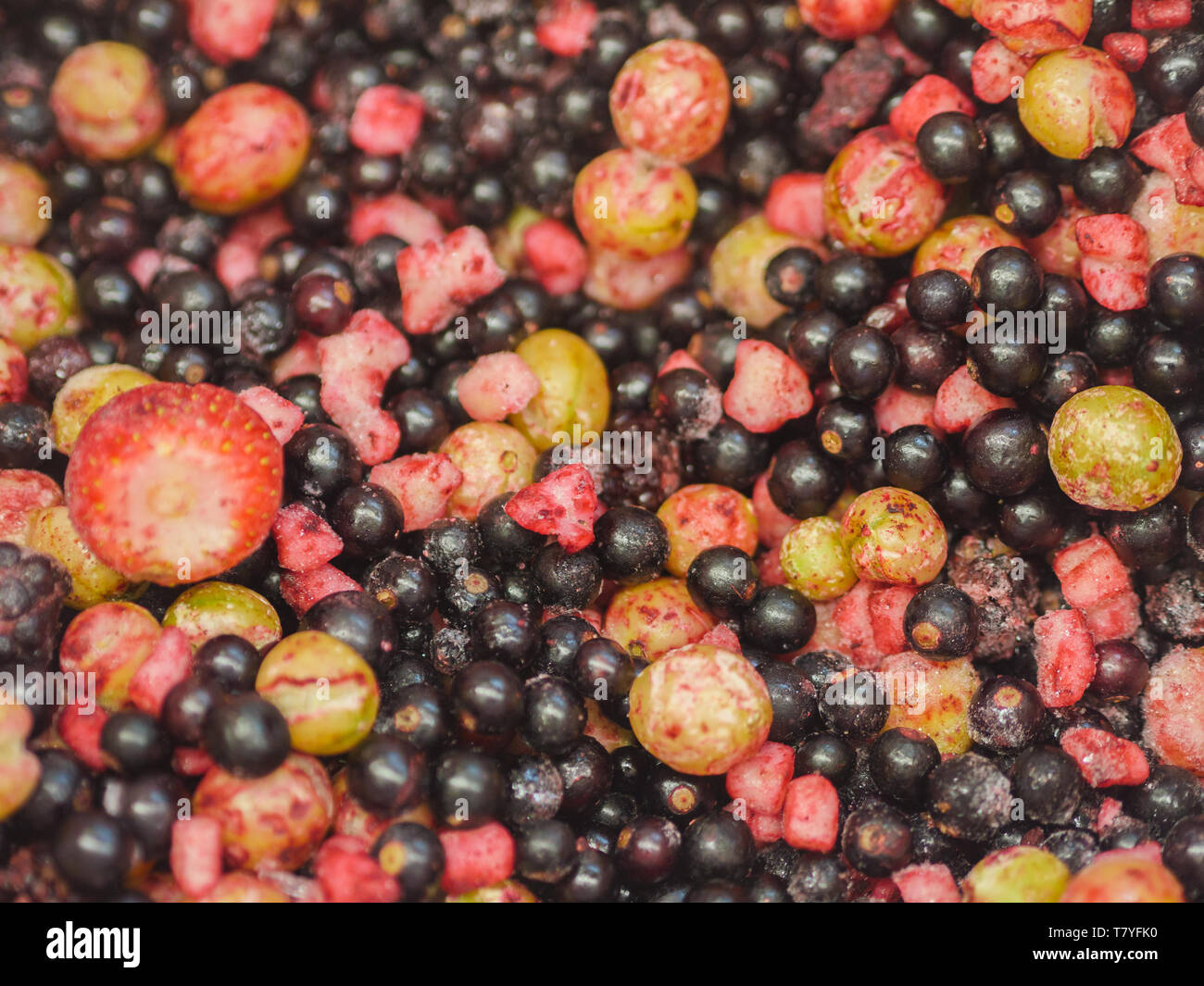Fruits in a supermarket - frozen strawberry, grapes, black currant ...