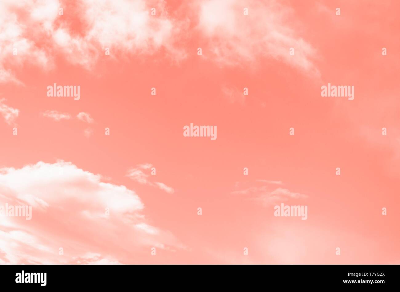 Pink coral color sky background with white clouds. Coral gradient ...