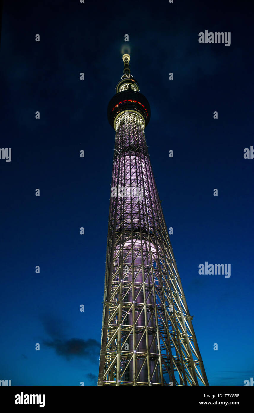 Tallest Guided Tower