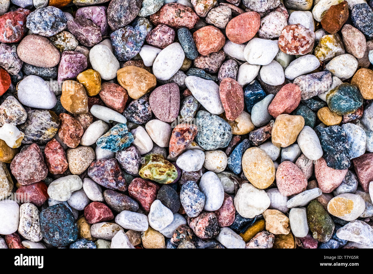 Landscape architecture, interior design and nature elements concept ...