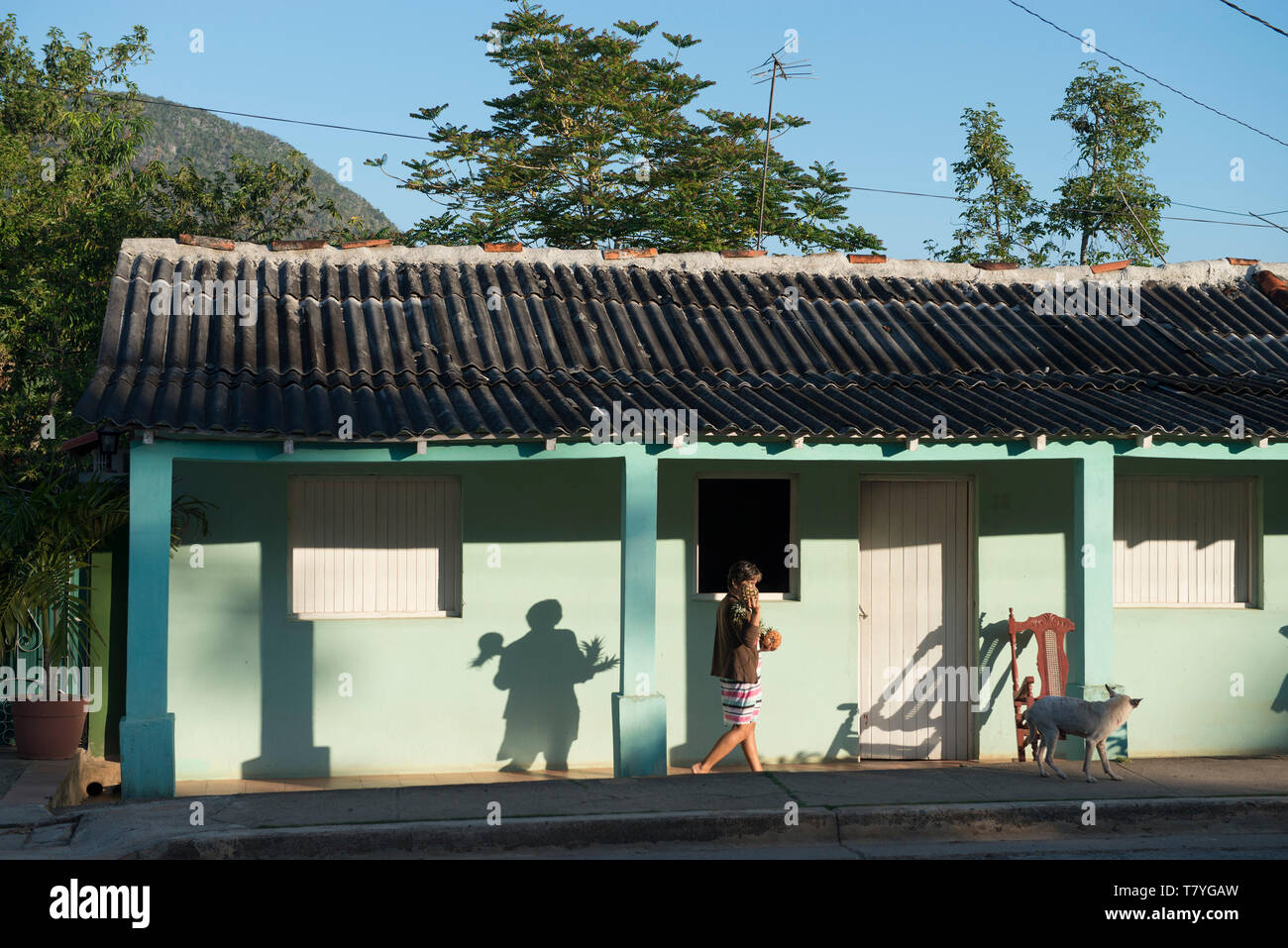 dawn shadows on a local house in Vinales Cuba, where people go to ...