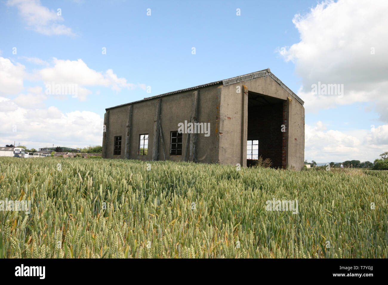 Raf Dalton High Resolution Stock Photography and Images - Alamy