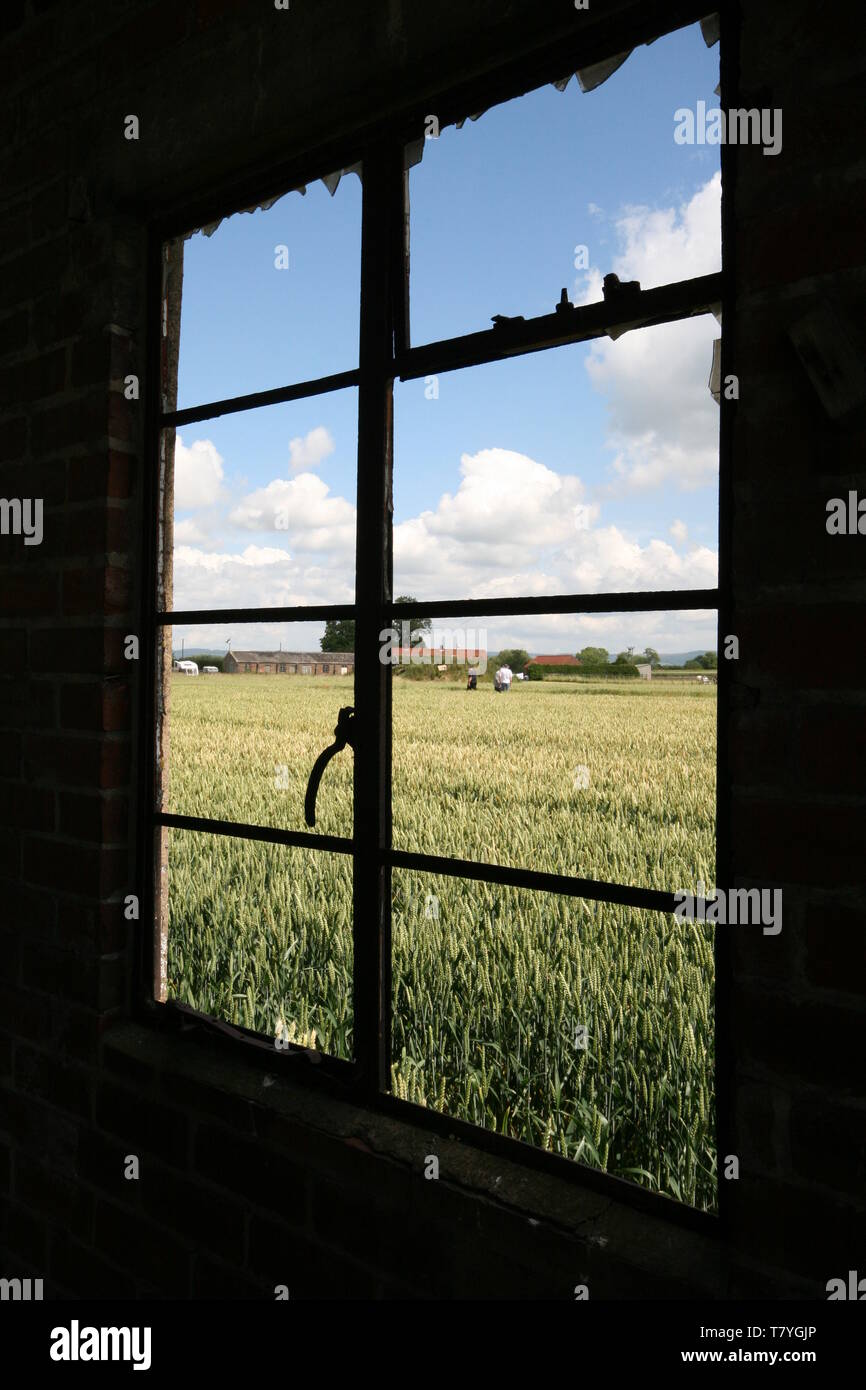 Raf Dalton High Resolution Stock Photography and Images - Alamy