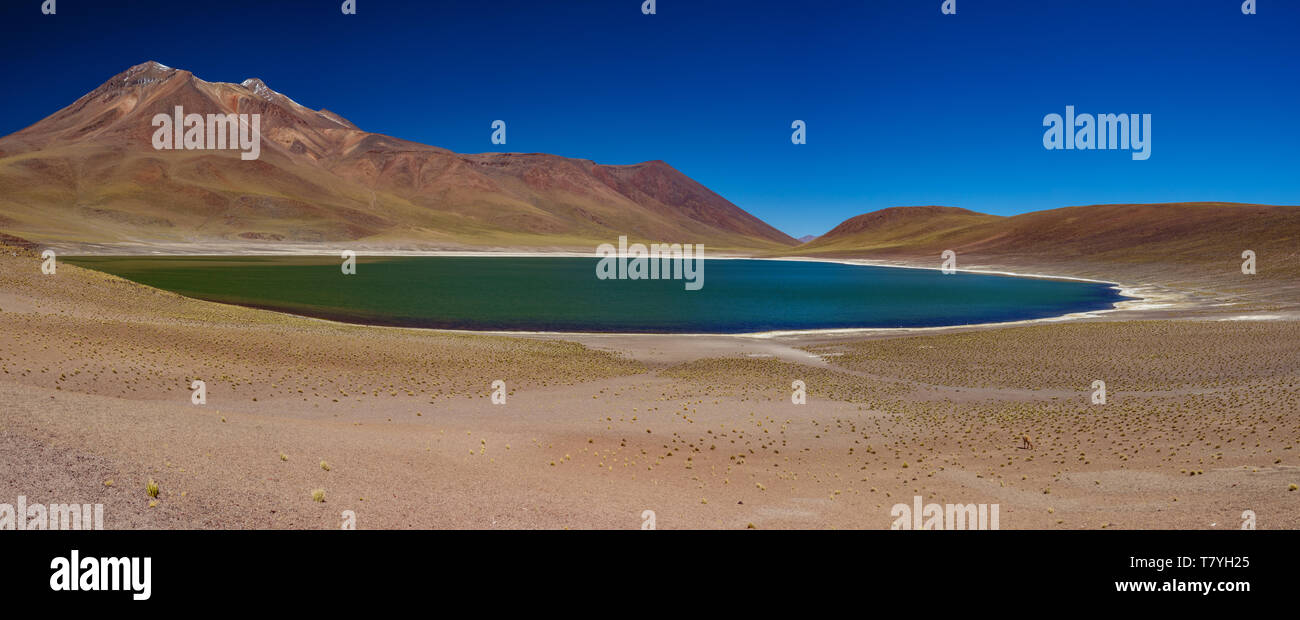 Miniques lagoon in Atacama highlands wide panorama Stock Photo - Alamy