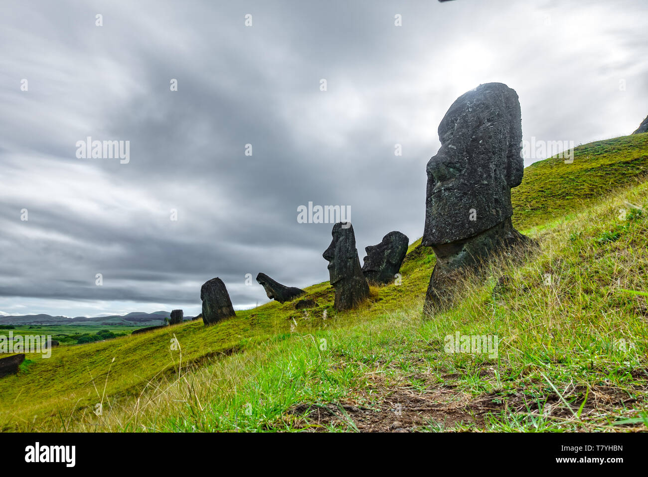 Crooked Moai in quarry, bottom view, Rapa Nui Stock Photo - Alamy